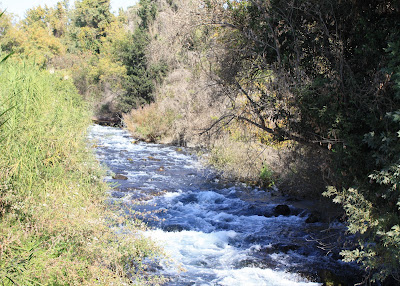 Ziggy's Adventures: Tel Dan