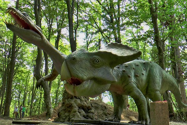 Dinozaurii au inceput sa populeze DinoPark-ul de la Rasnov - webTV Brasov