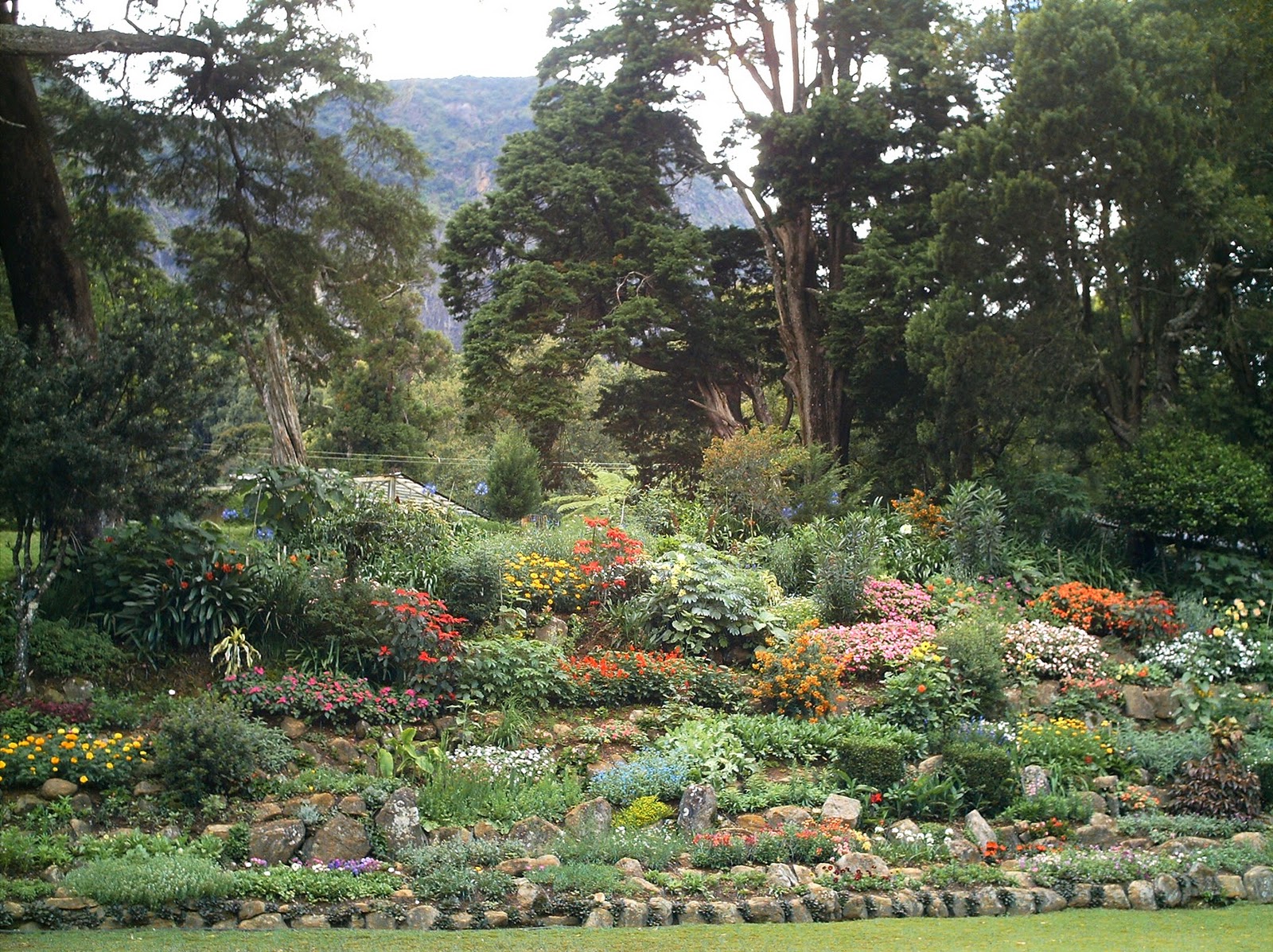 Nature Of Srilanka: Hakgala Botanical Garden of Sri Lanka