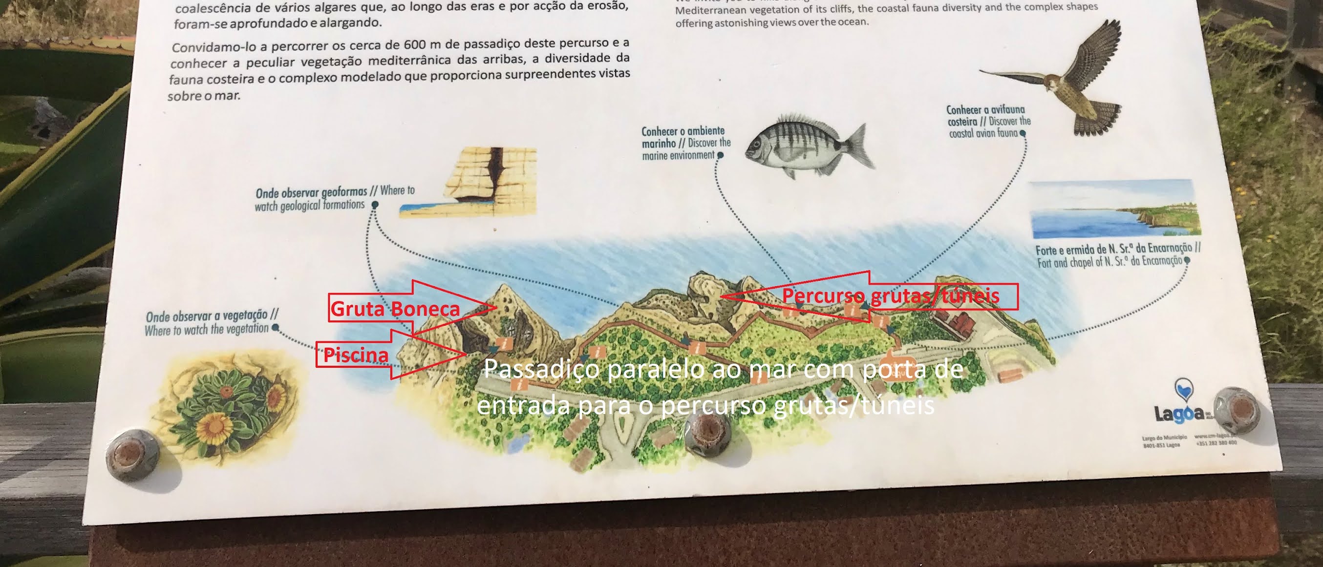 ALGARVE: À DESCOBERTA DA GRUTA DA BONECA NO ALGAR SECO