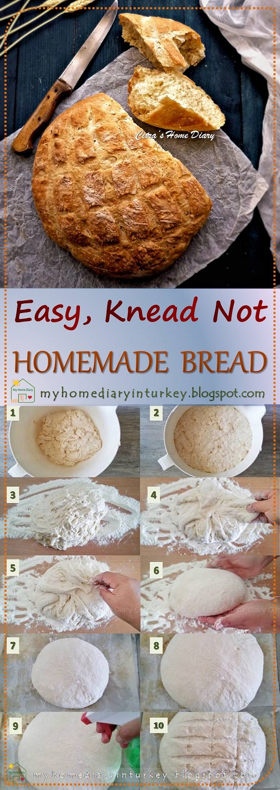Citra's Home Diary: EASY AND TASTY NO KNEAD ARTISAN BREAD