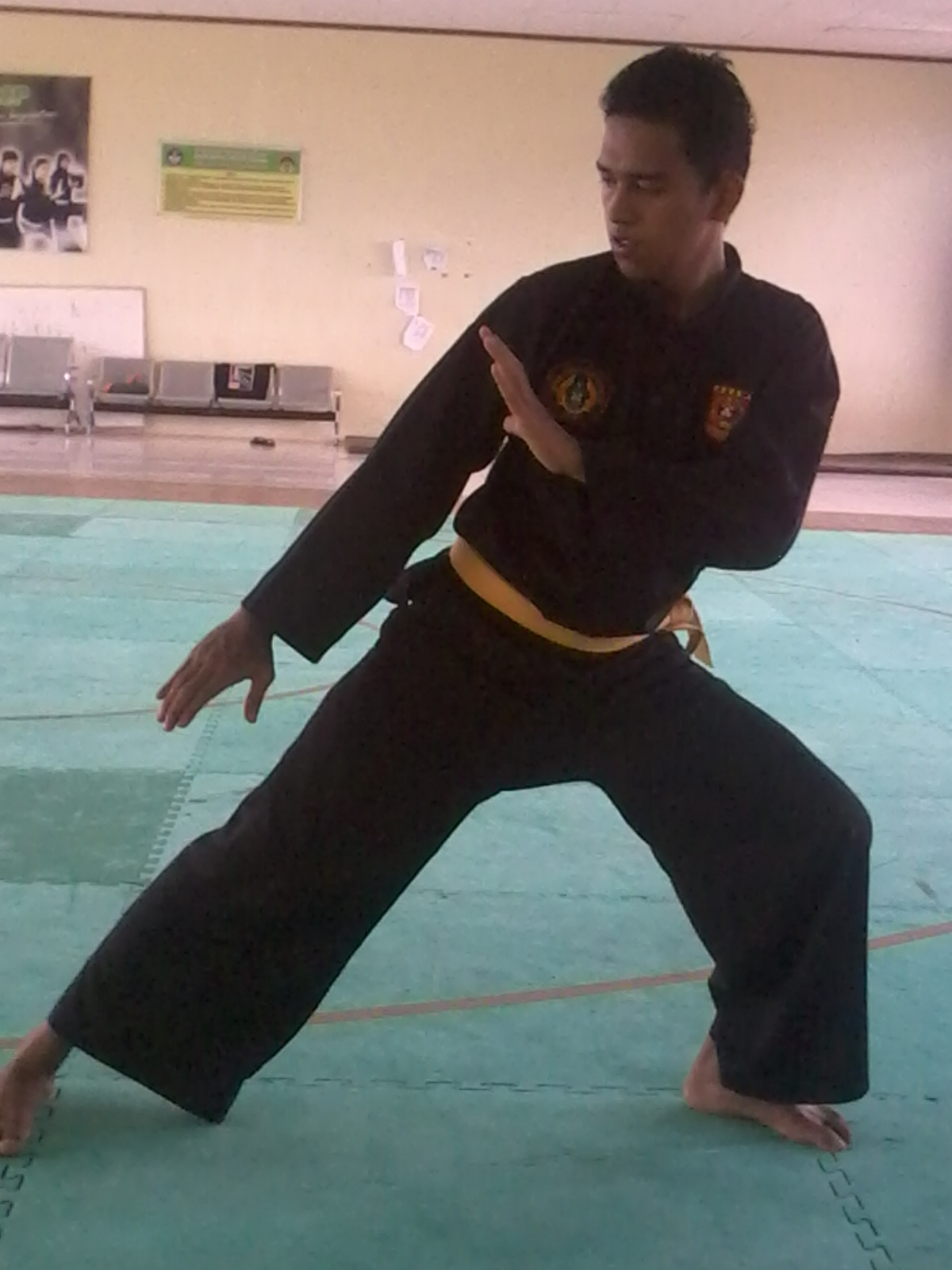 pencak silat: Kuda-kuda silat