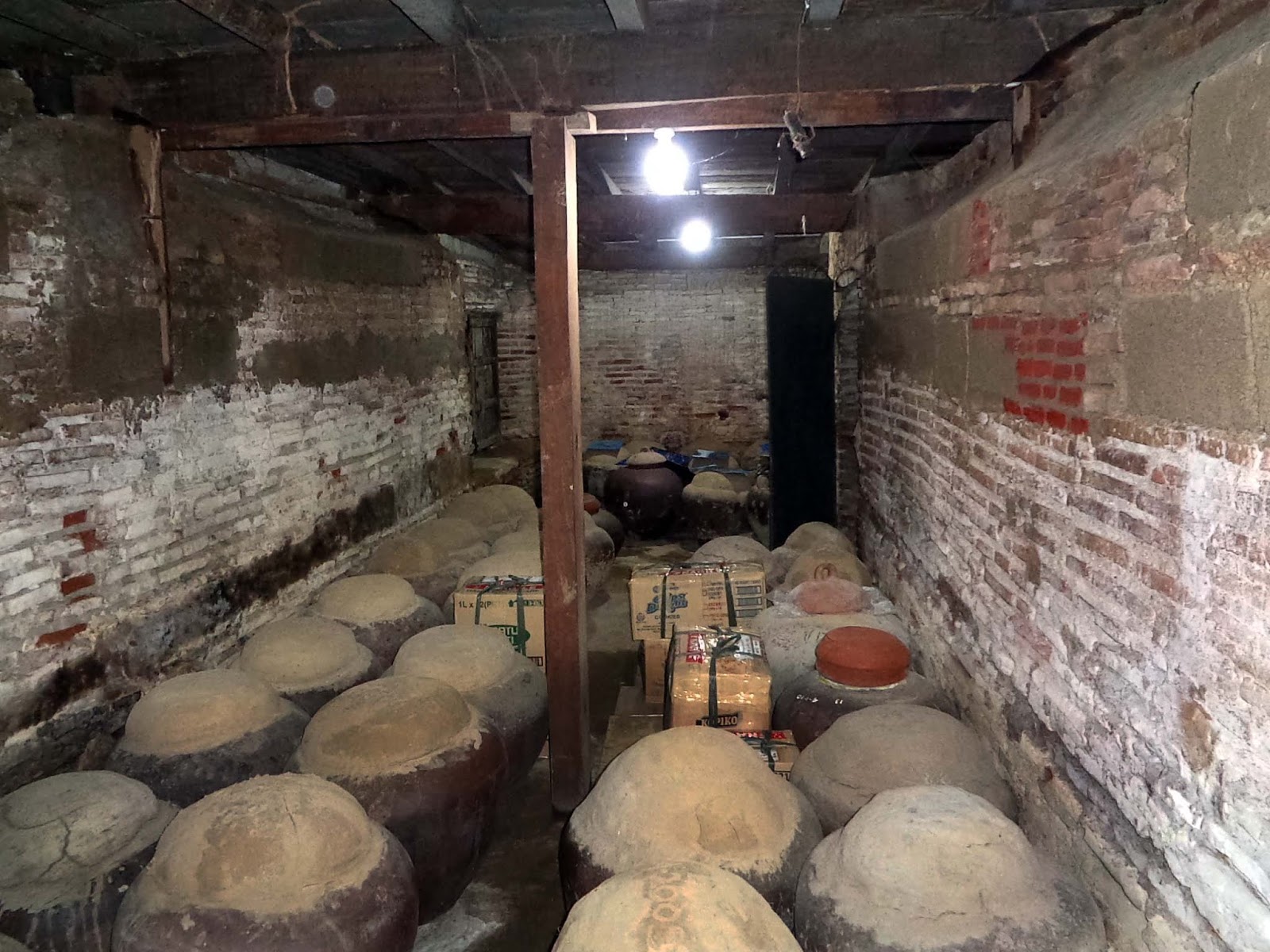 Naturalism - the Eighth Sense: Growing up with Basi Wine