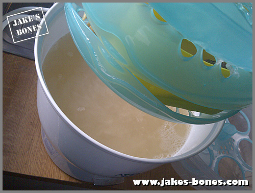 My brilliant new clever invention for cleaning bones : Jake's Bones