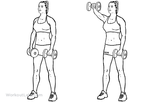 Free Simple Workouts