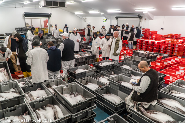 Through the Gaps! - Newlyn Fishing News: It's only taken 26 years ...