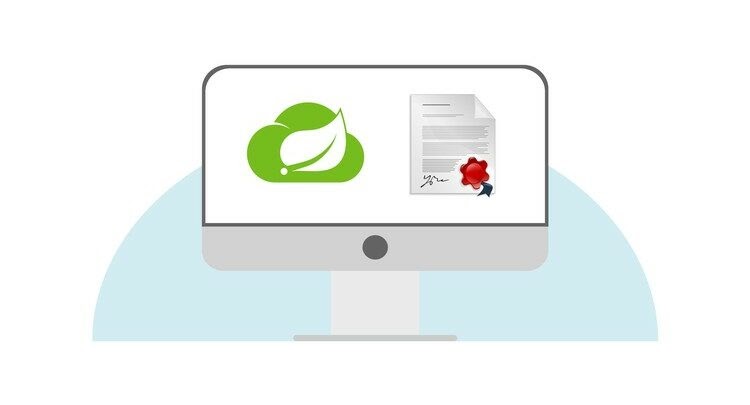 Top 5 Resources to become a Certified Spring Developer Professional in ...