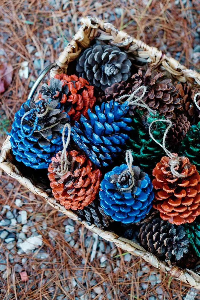 How to Make DIY Pine Cone Fire Starters - Everything Pretty