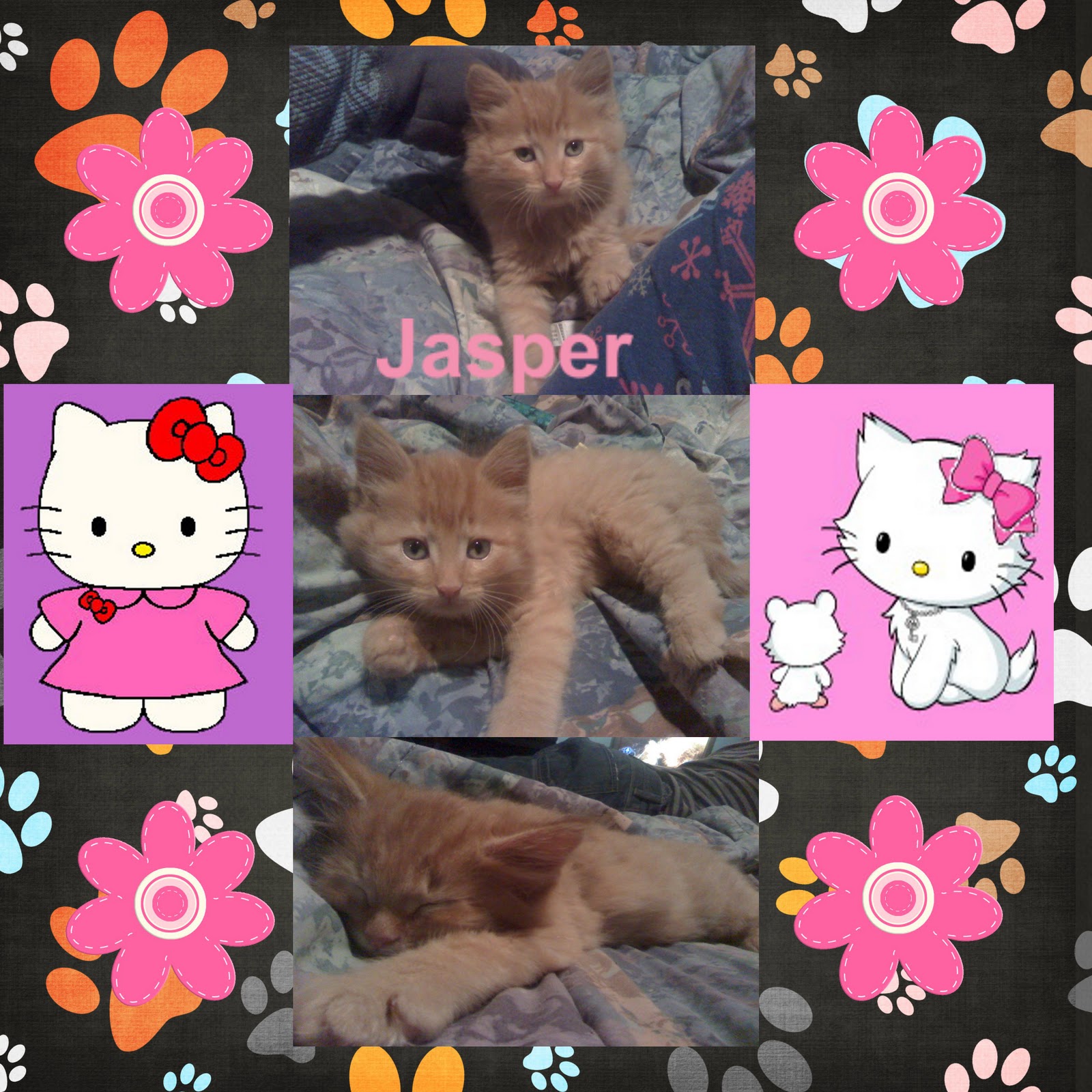 Scrapping With Lisa: Hello Kitty Blog Hop Nov. 5-6 Day 2