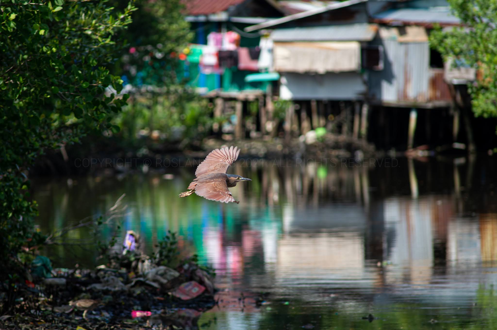 Setinggan dan Alam Sekitar