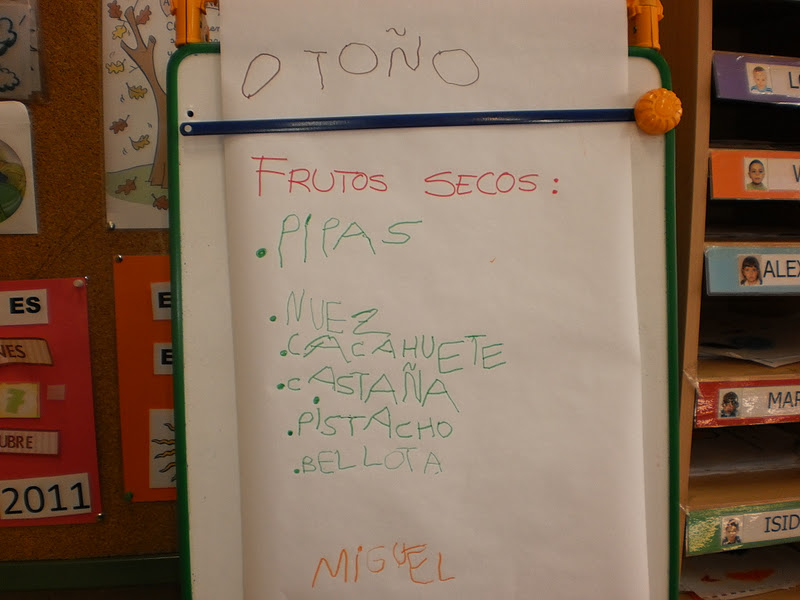 LOS PEQUES DE SARA: EL OTOÑO: DEGUSTACIÓN FRUTOS SECOS Y CARNOSOS