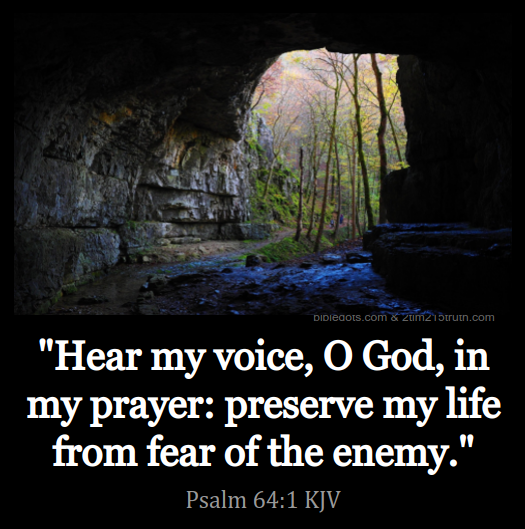 2 Timothy 2:15 Truth: Verse of the Day: Psalm 64:1 KJV