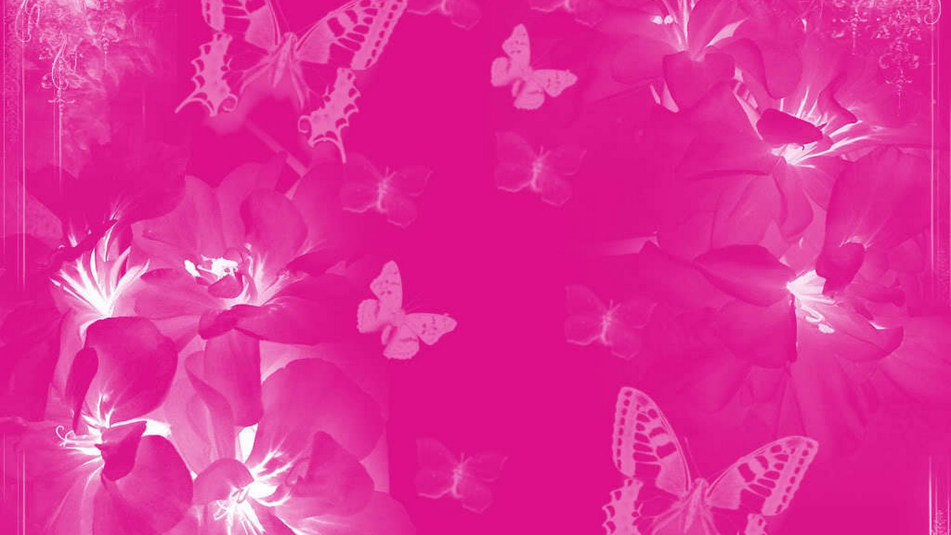 HD Pink Wallpapers - HD Photos and Wallpapers