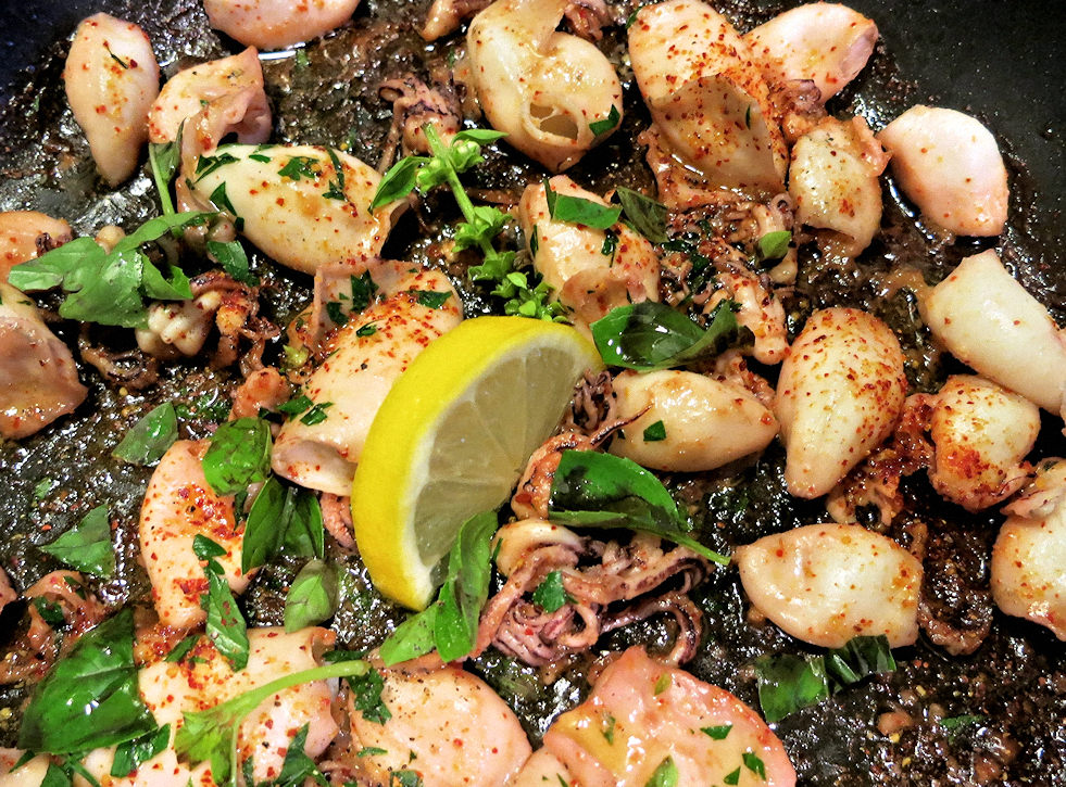 S.O.S. Grisbiche: Supion l'Armoricain