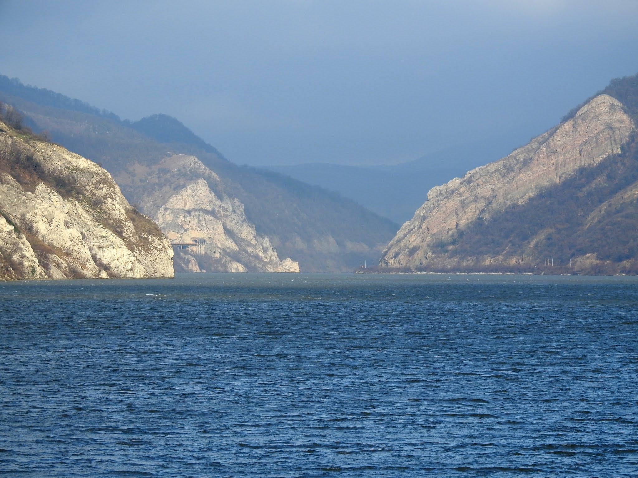 PASARI DIN ROMANIA: ACVILA DE MUNTE, Aquila chrysaetos
