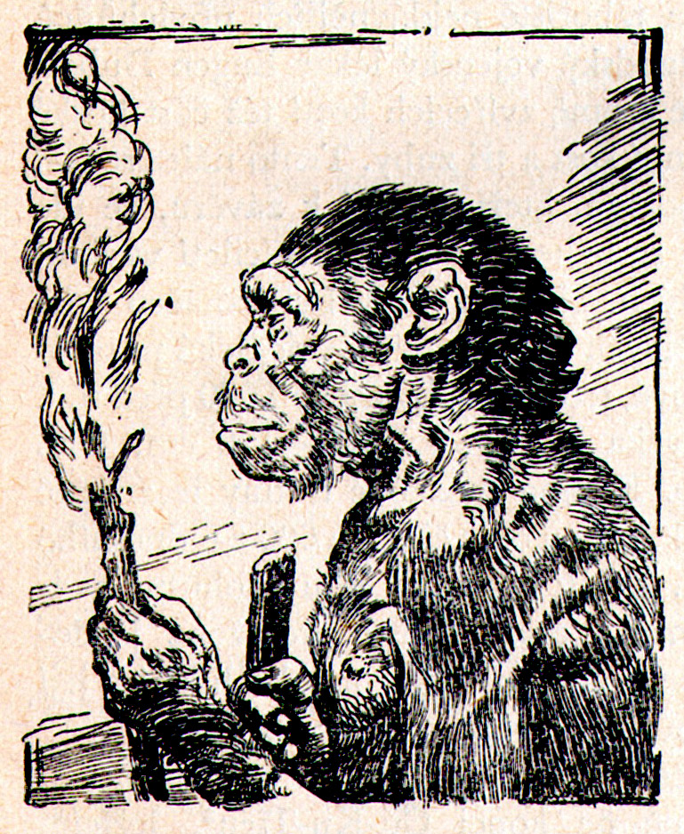 Zdeněk Burian: Sinanthropus