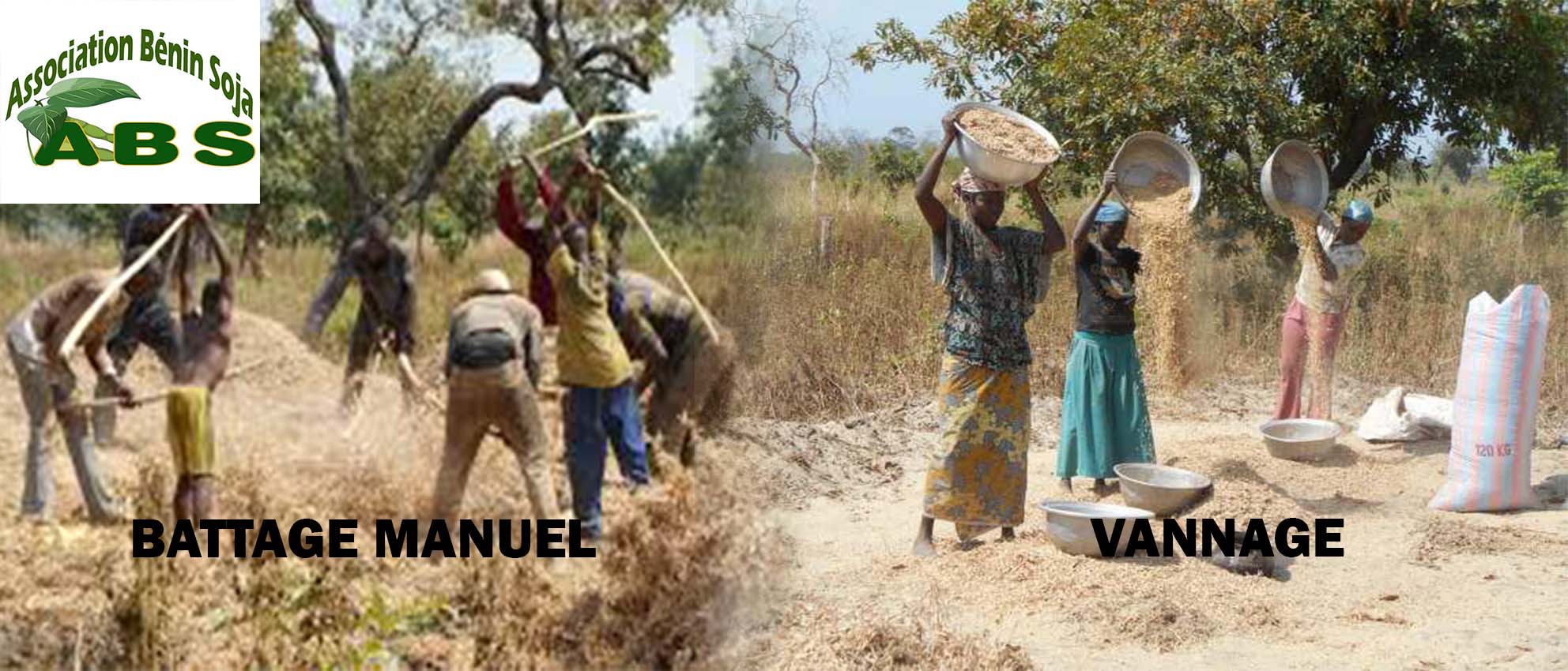 PARLONS DU SOJA: FORMATION SUR LES TECHNIQUES DE RECOLTE ET LA GESTION ...