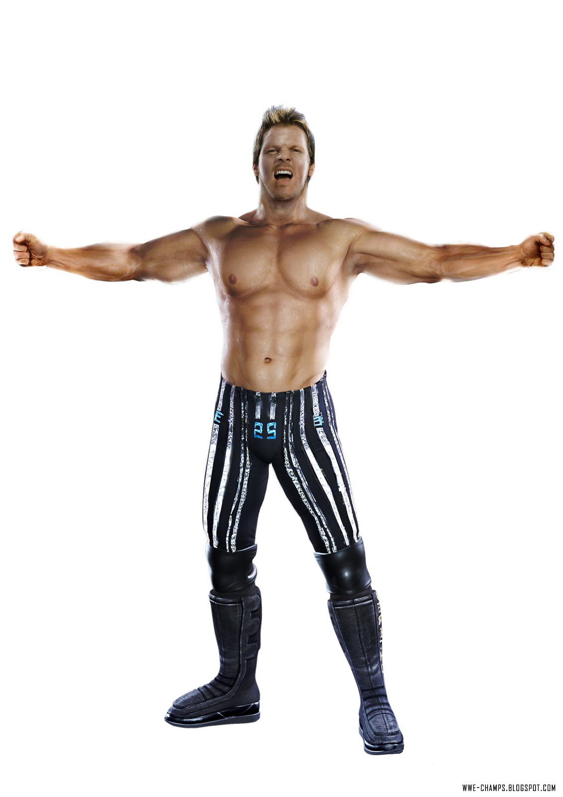 WWE CHAMPS: 'Y2J' CHRIS JERICHO