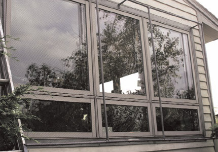 The Nature of Travel: Window Strikes