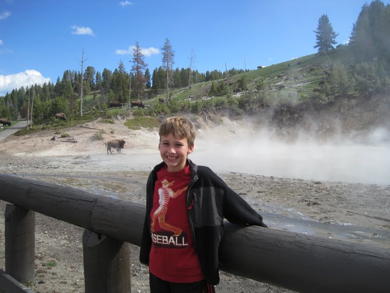The Scallywagon: YOU SKIN GRIZ', PILGRIM? Yellowstone National Park