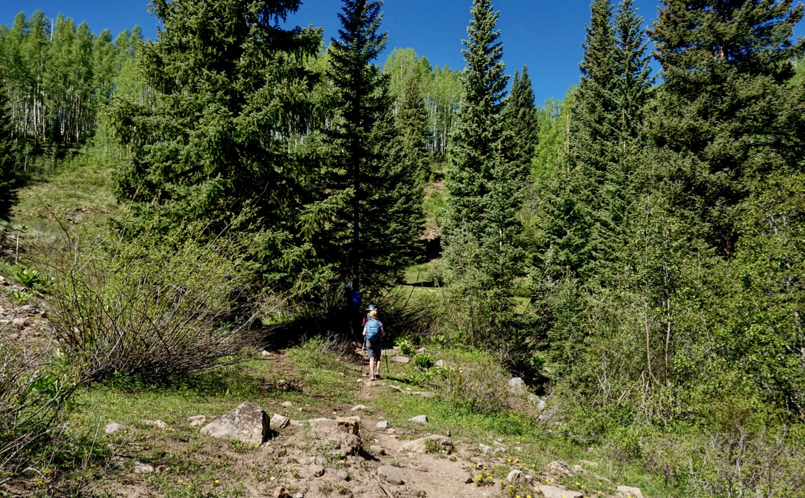 Earthline: The American West: Burnt Timber Trail, Point 11,003' and ...