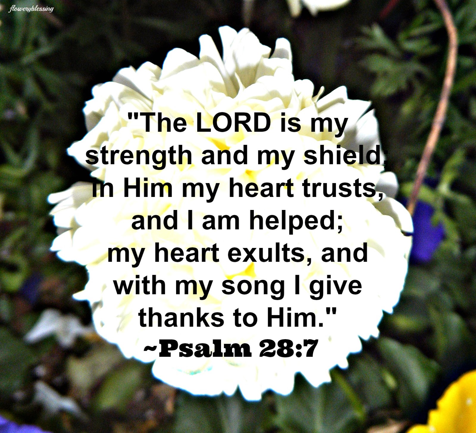 Flowery Blessing: "The LORD is my strength and my shield; in Him my ...
