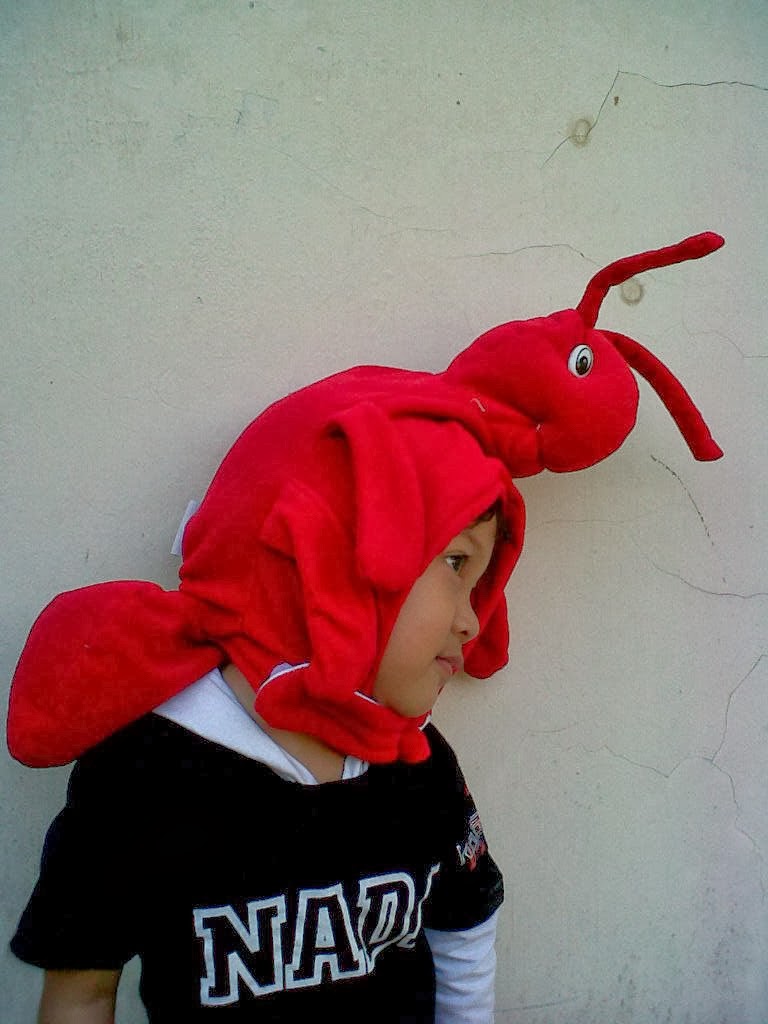 Jual Kostum Anak: Topi Anak Lucu / Cute Animals Hat