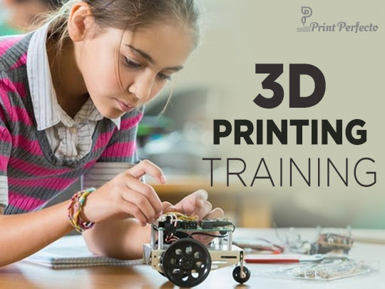 3D Printing Online Class | 3D Print Training | Print Perfecto 3D