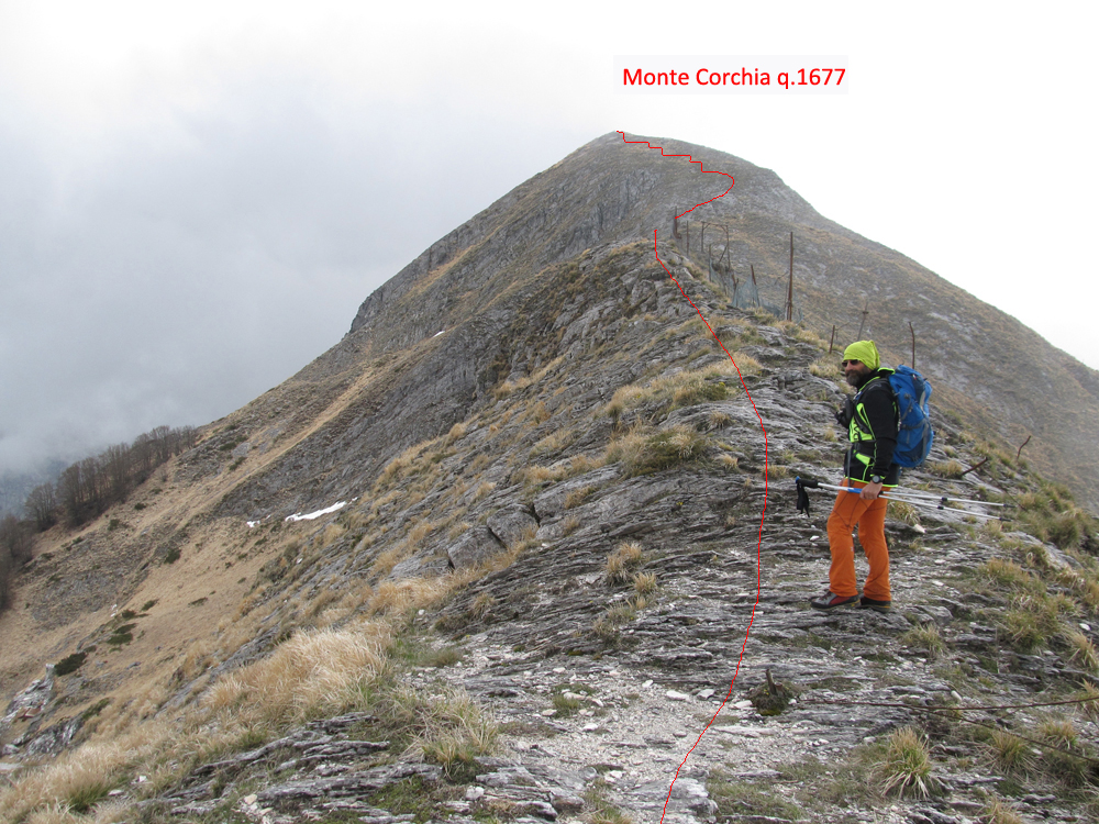 Escursionismo a 360°: Monte Corchia (dalla lizza dei Tavolini) EE