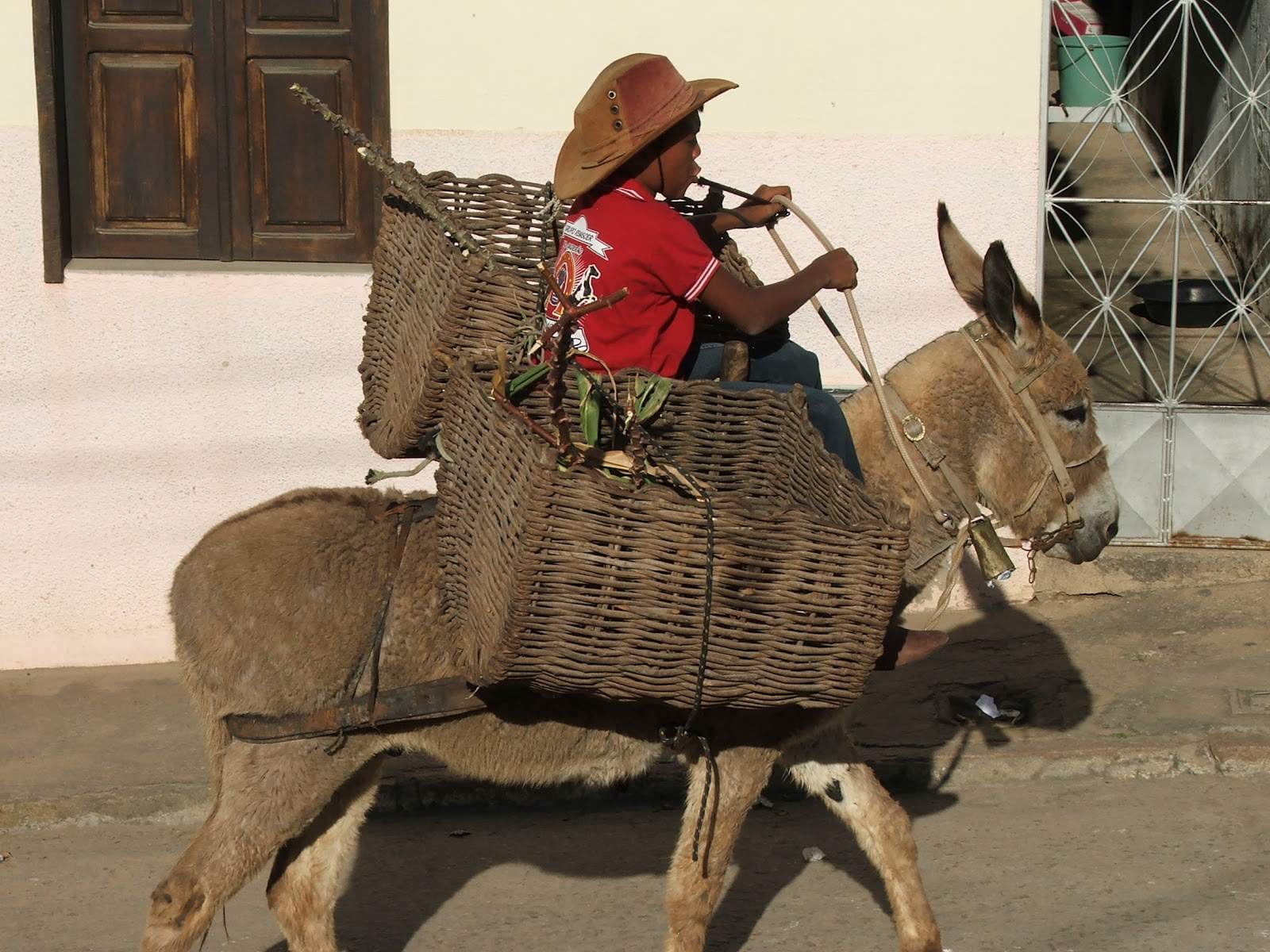 JMP Audiovisual : O jumento com cangaia ou jacá