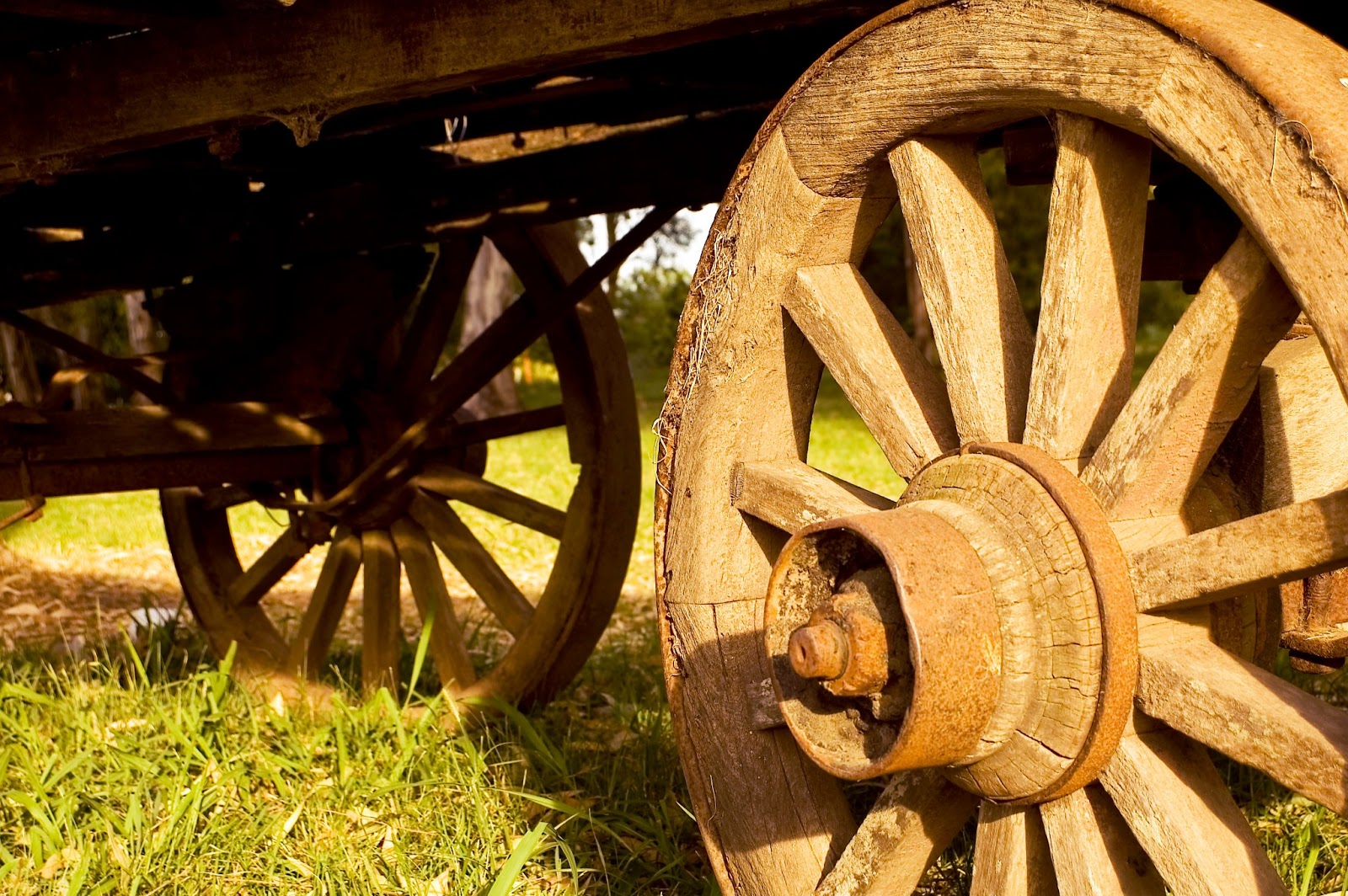 The Abbreviated Adventures of Mogey & Smush