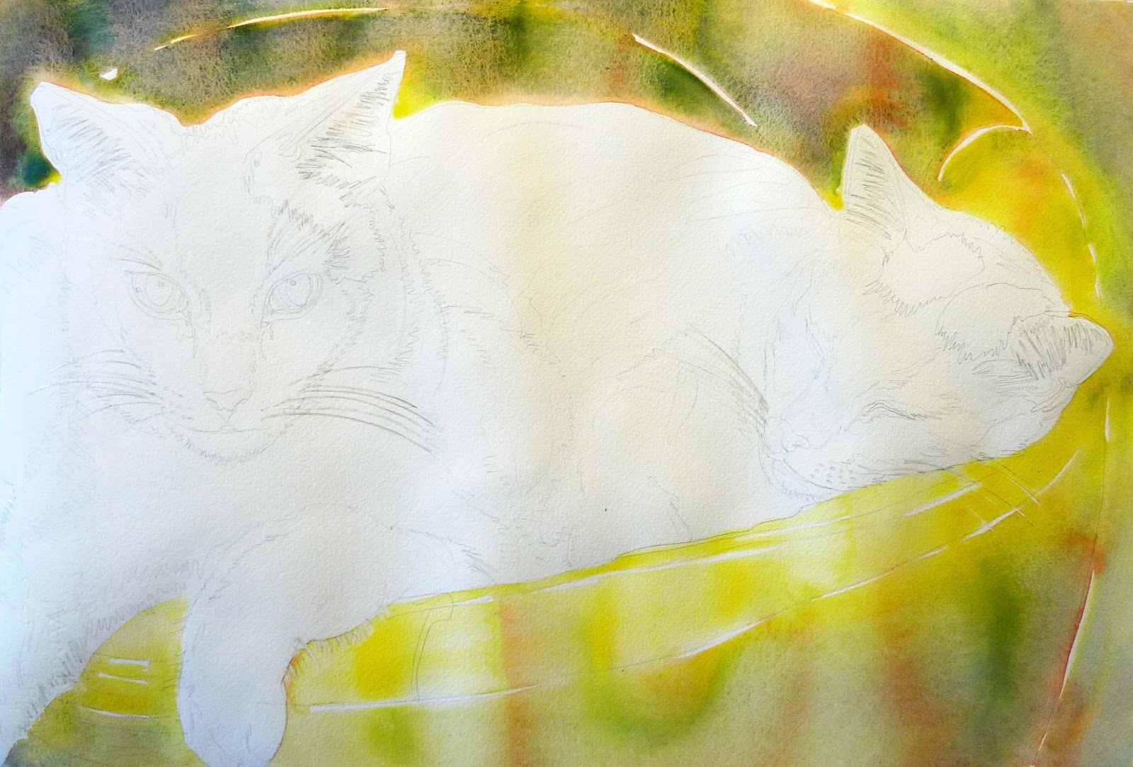 paintings: Cat Commission- watercolor