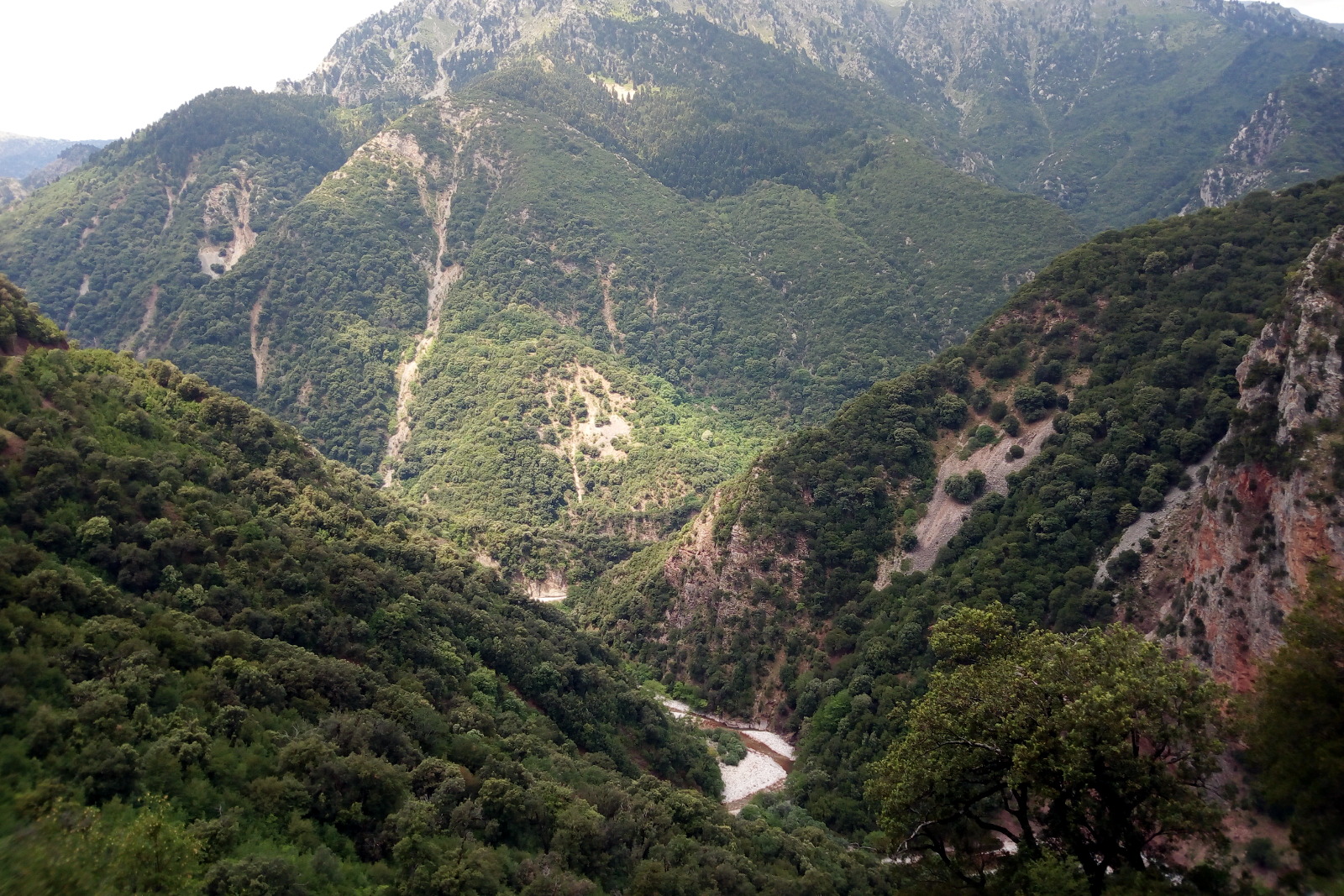 Η Άλλη Ελλάδα: Ελεύθερα Βουνά. Στην καρδιά των Αγράφων. (Ιούλιος 2020)
