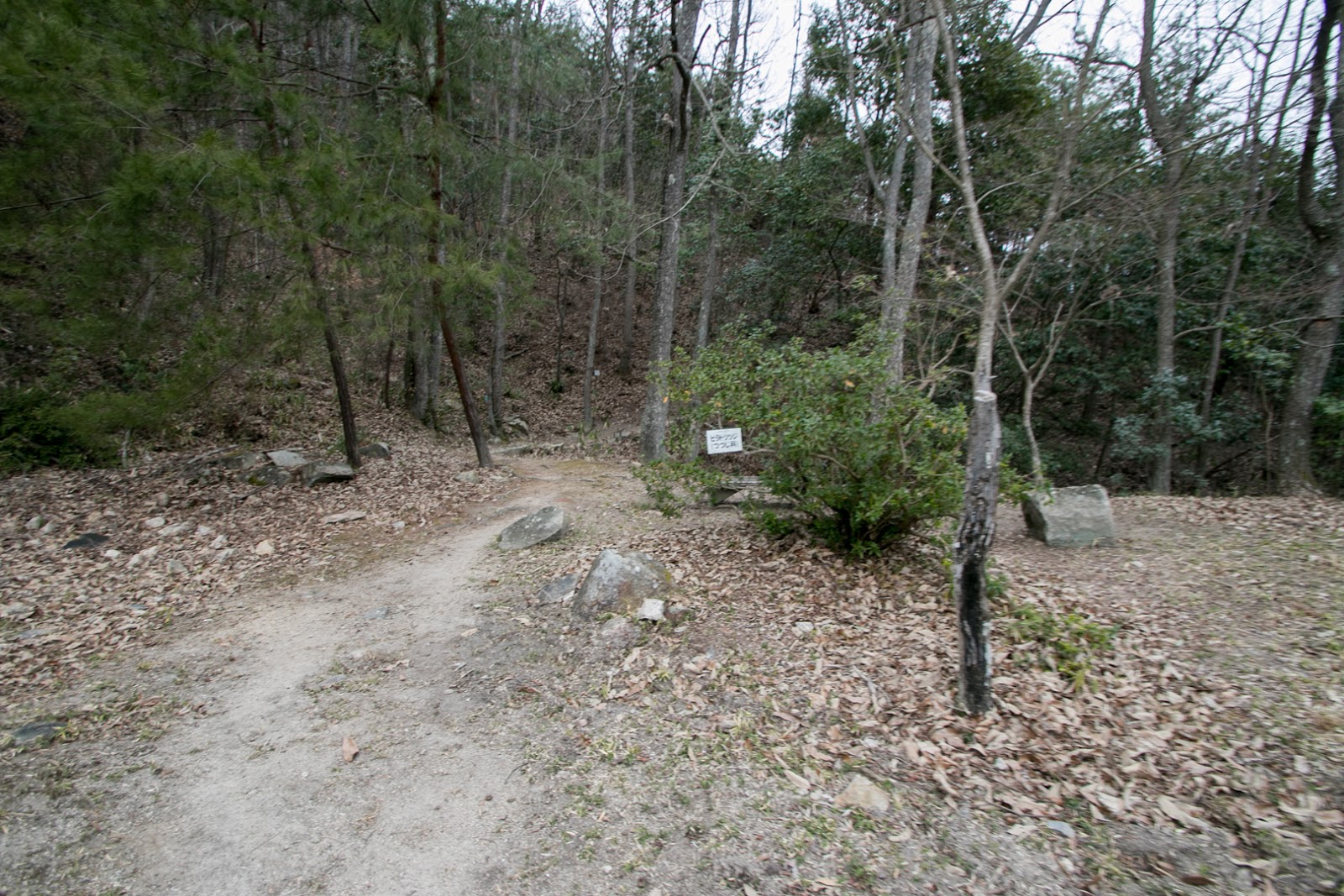 Niitakayama Castle -Intellectual pillar of Mouri clan (2)- | Japan ...