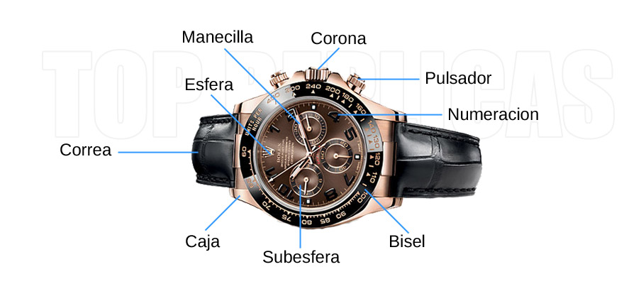 Como Se Llama Las Partes De Un Reloj
