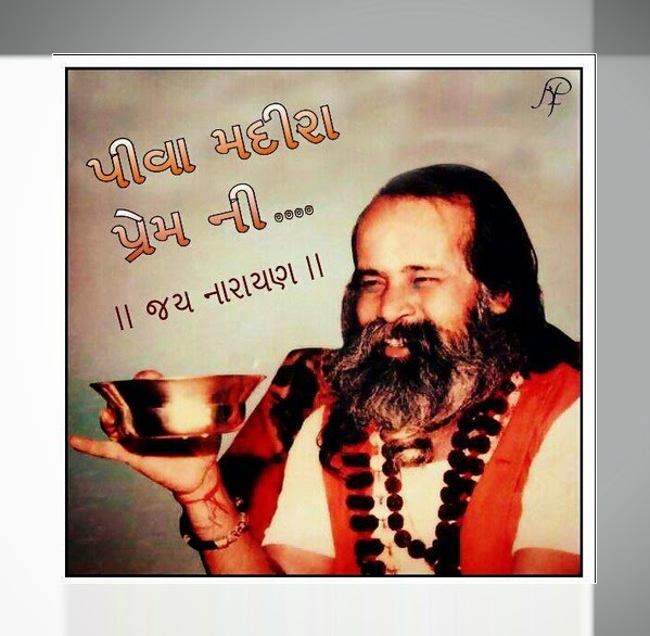 sant shree narayan swami