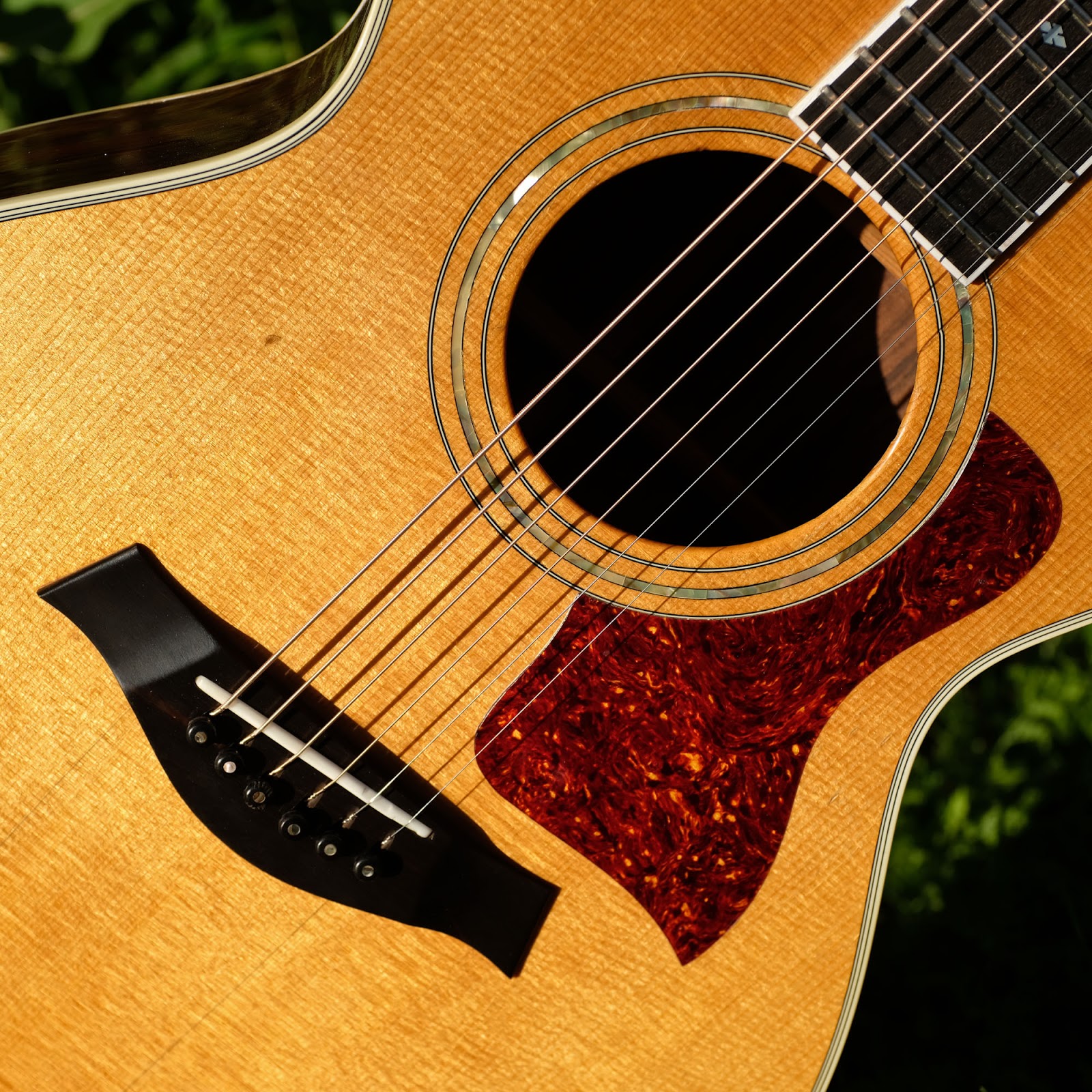 1987 Taylor 812 "Lemon Grove" Flattop Guitar