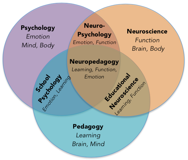 Look Up Aim High: ICT Integrated Educational Neuroscience