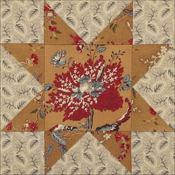 Grandmothers Choice: Votes For Women: 37. Nameless Star: The Lucy Stone ...