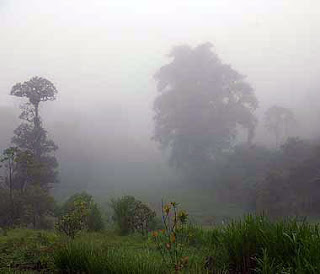entornos / ... Nicaragua, volcán y frontera: Reserva Natural de Miraflor