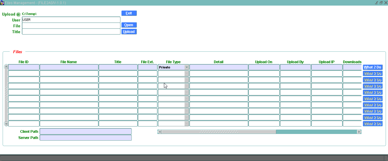 Hasan Jawaid Oracle Files Management System
