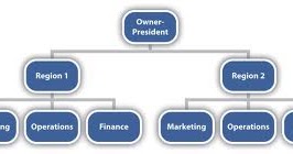 Pepsi Company Blog : Organizational Structure