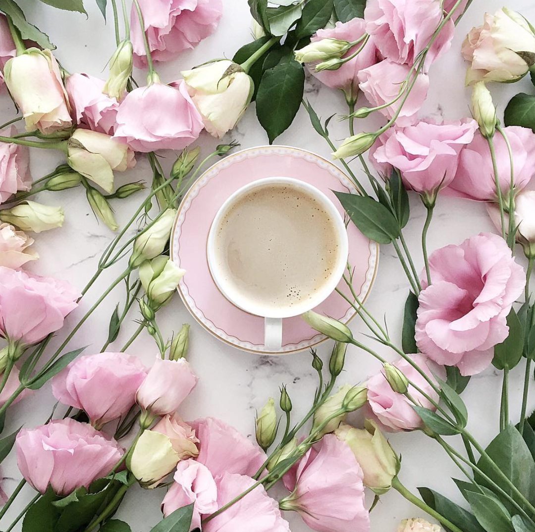 Блог Колибри: Pink morning