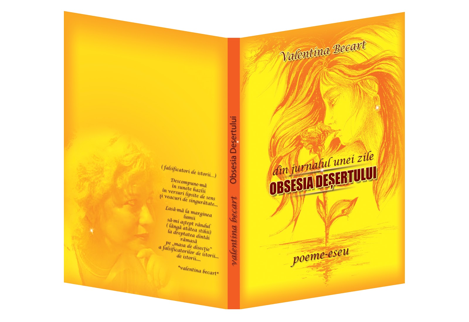 MIHAI CATRUNA FINE ART: Coperta Carte Obsesia desertului