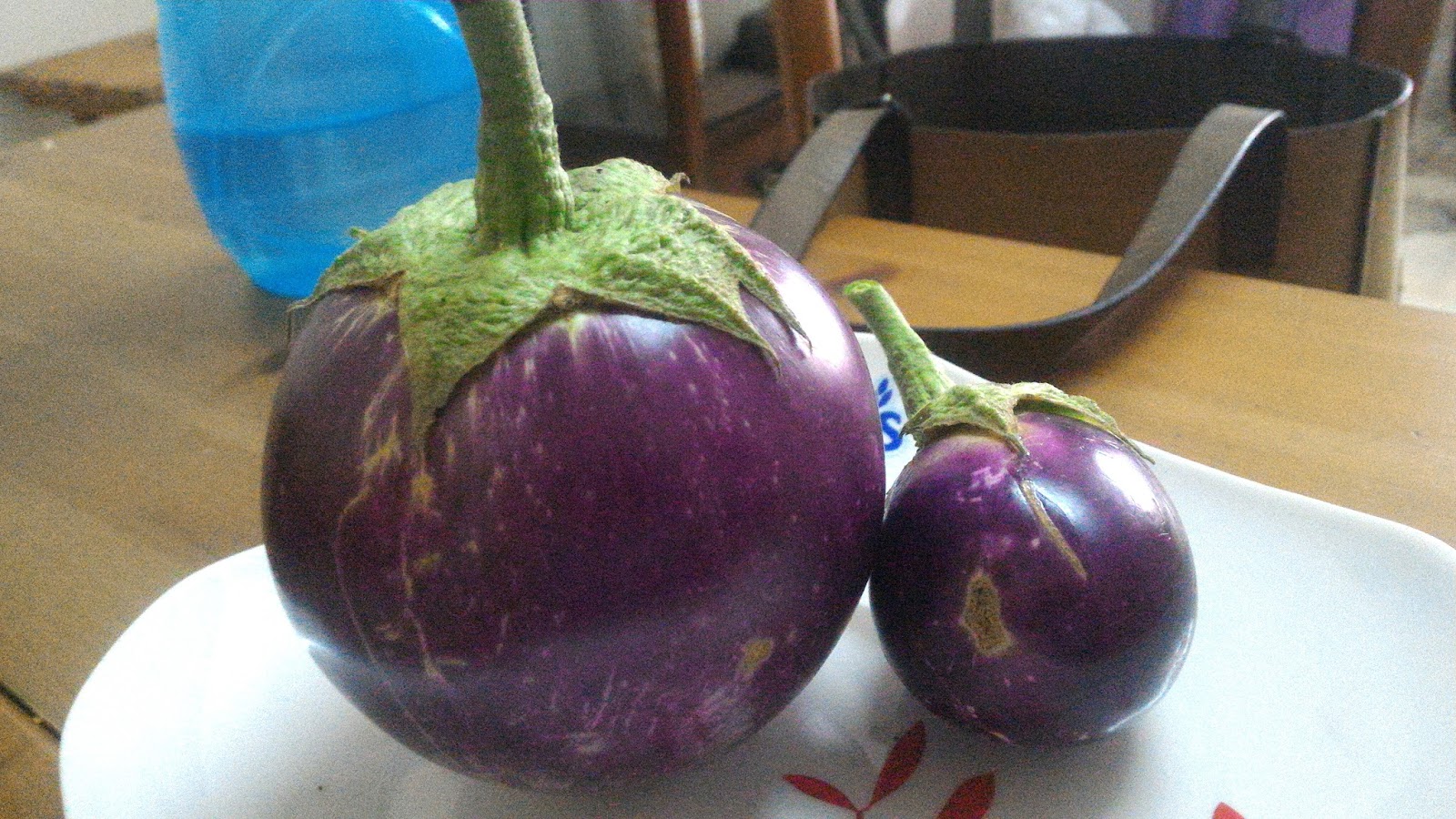 Dunia CMelor: Hasil Terung Bulat Dalam Pasu