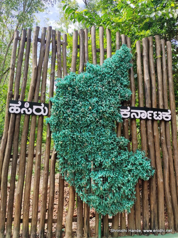 Salumarada Thimmakka Tree Park near Manipal: Photos and complete info ...