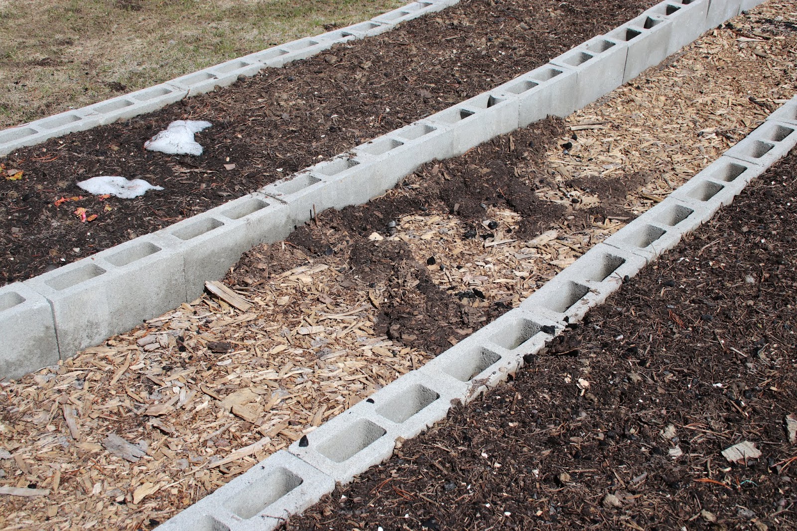 Fy Nyth...: Tiny House Garden - Is the Gopher Proofing Working?