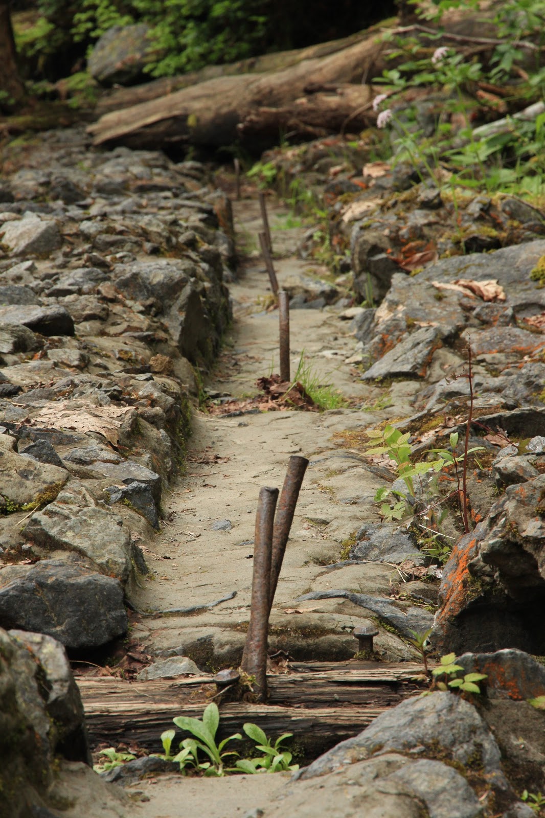 Explorations of Jackie & Joe: Old Robe Canyon Trail