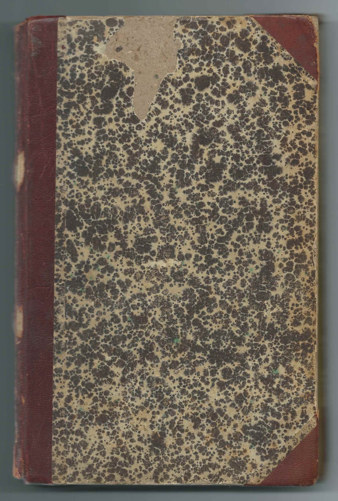 Heirlooms Reunited: c1870s/1880s Journal with Genealogy of the Huntting ...