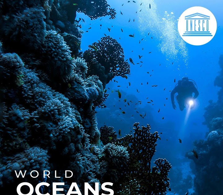 The Digital Teacher: Schools : World Oceans Day : #ValueoftheOceans ...